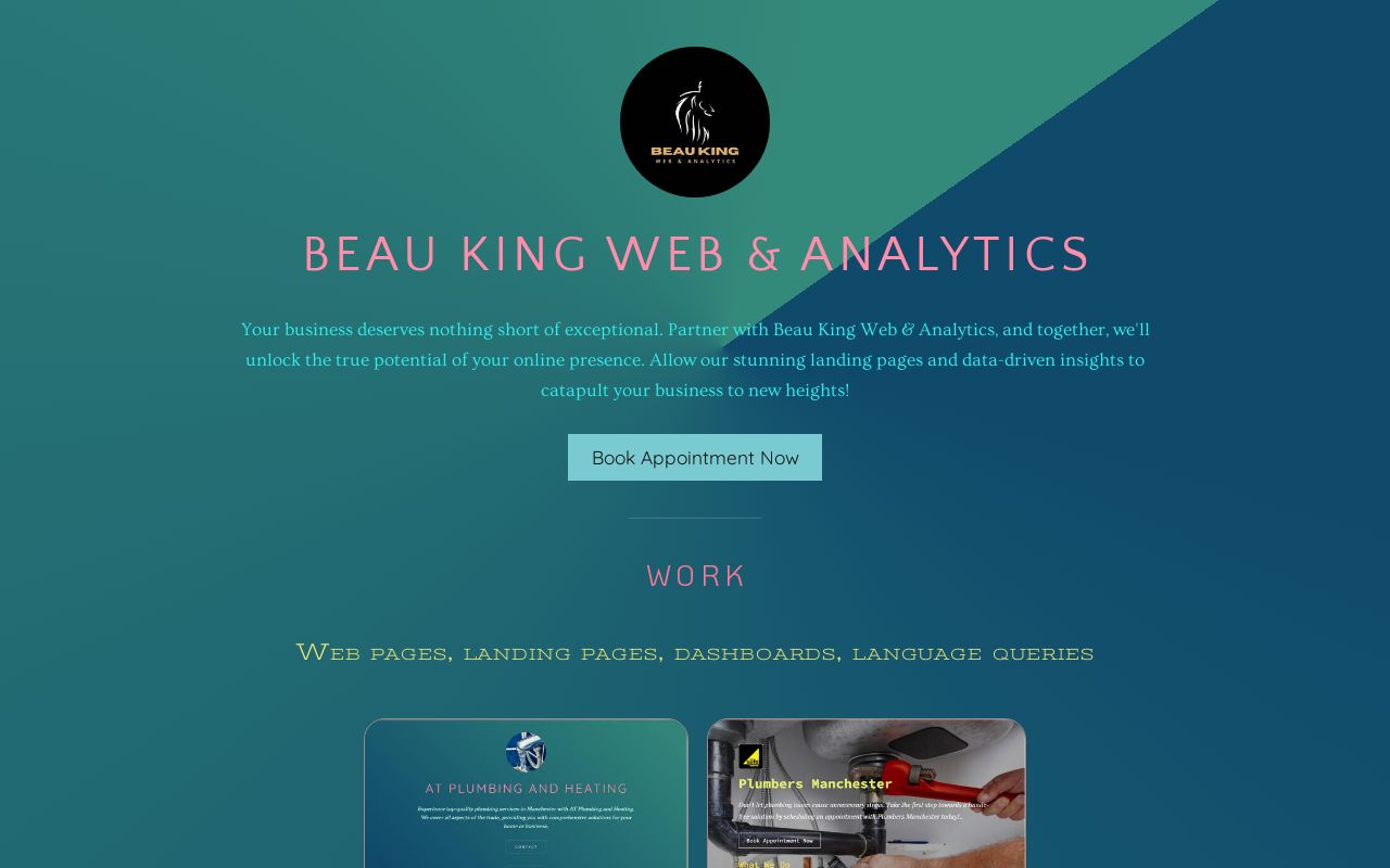 Beau King Web & Analytics